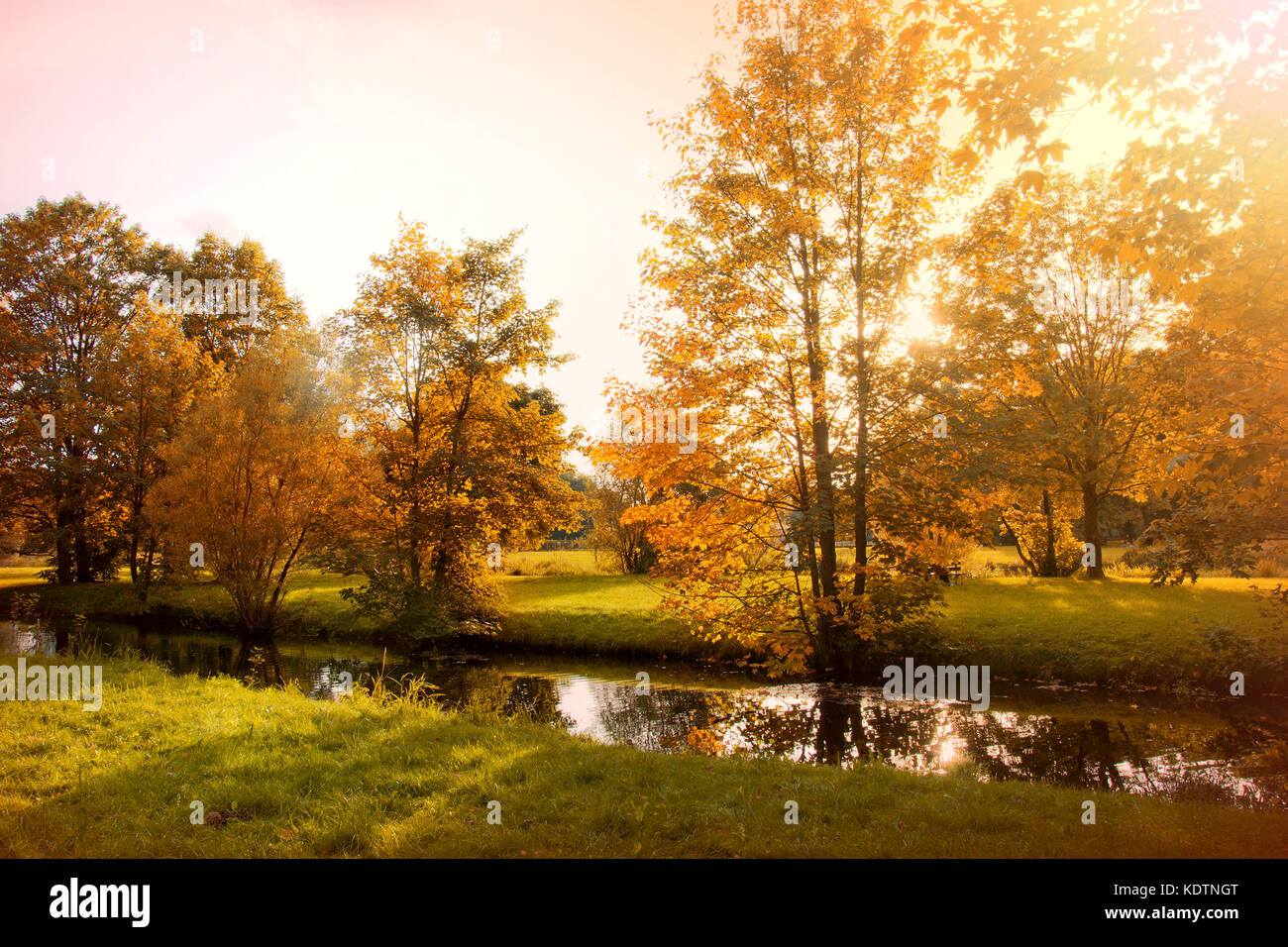 Autumn in the park. Fall in forest Stock Photo - Alamy