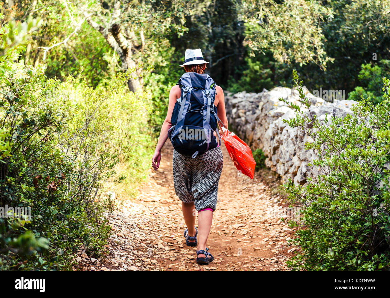 Woman hiking on country footpath with rock fence and woods. Hiker with ...