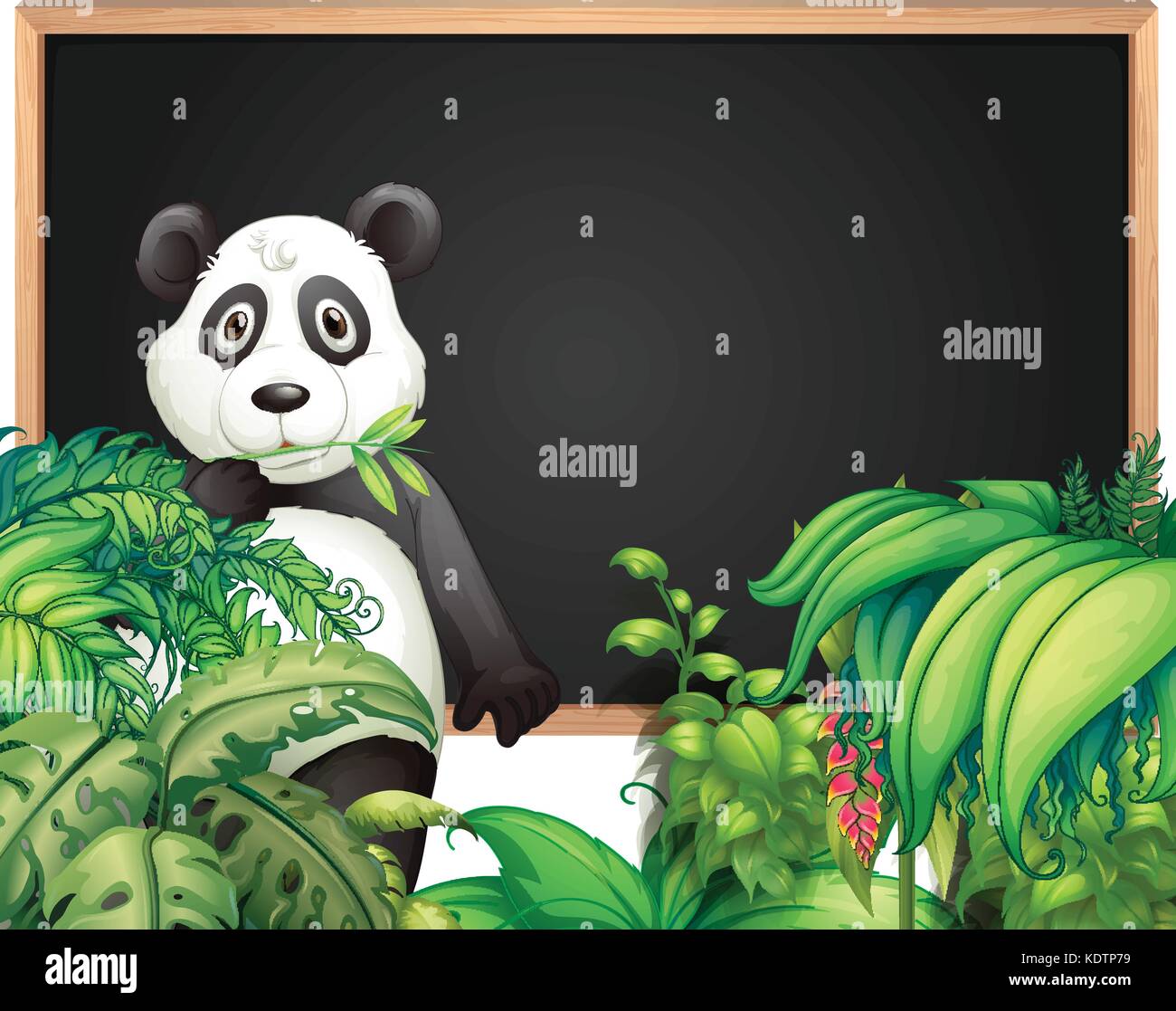 Border design panda illustration hi-res stock photography and images ...