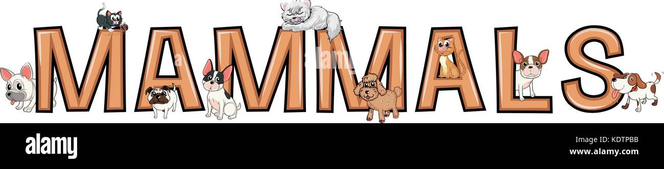 Font Design For Word Mammals Illustration Stock Vector Image Art Alamy font-design-for-word-mammals-illustration-stock-vector-image-art-alamy
