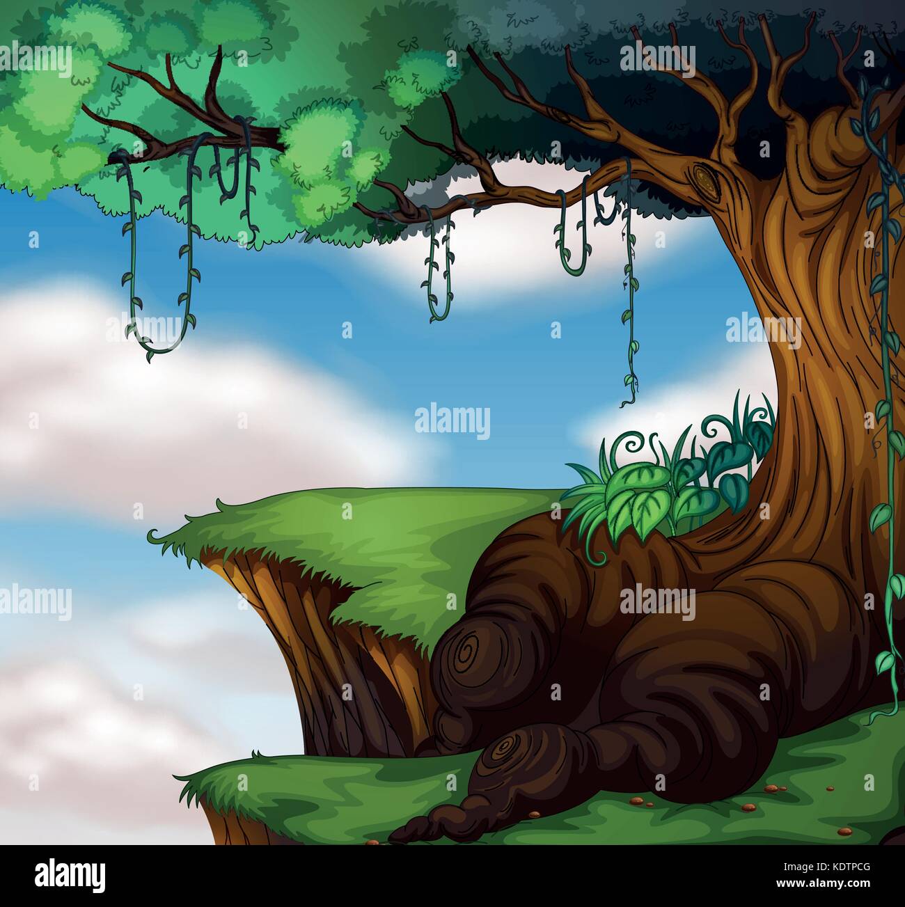 Big tree on the cliff illustration Stock Vector Image & Art - Alamy