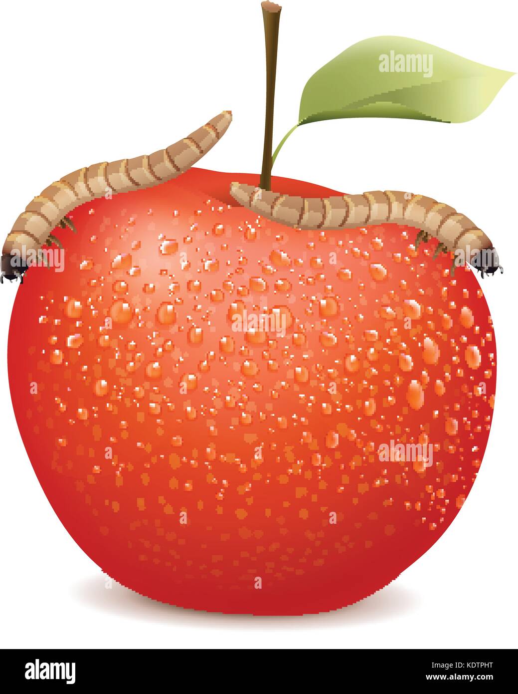 Red apple with two worms on it illustration Stock Vector Image & Art ...
