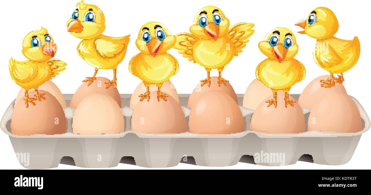 Six chicks standing on eggs illustration Stock Vector Image & Art - Alamy