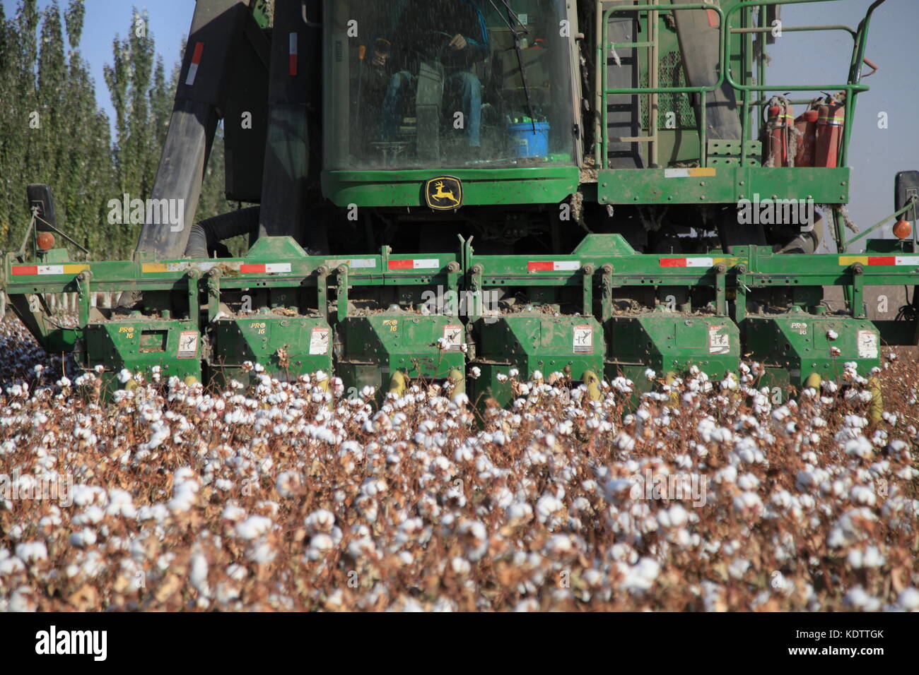 Hami, Hami, China. 15th Oct, 2017. Hami, CHINA-15th October 2017 ...