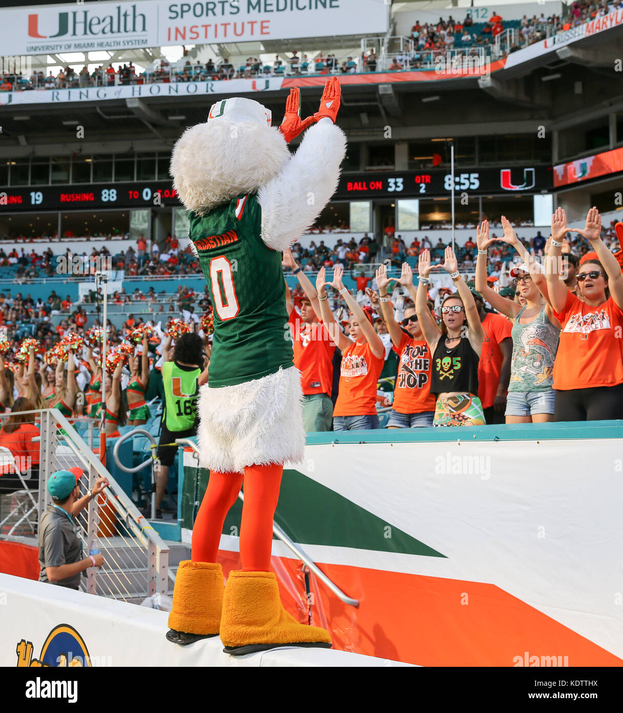 Miami Gardens, Florida, USA. 14th Oct, 2017. Sebastian The Ibis, the ...
