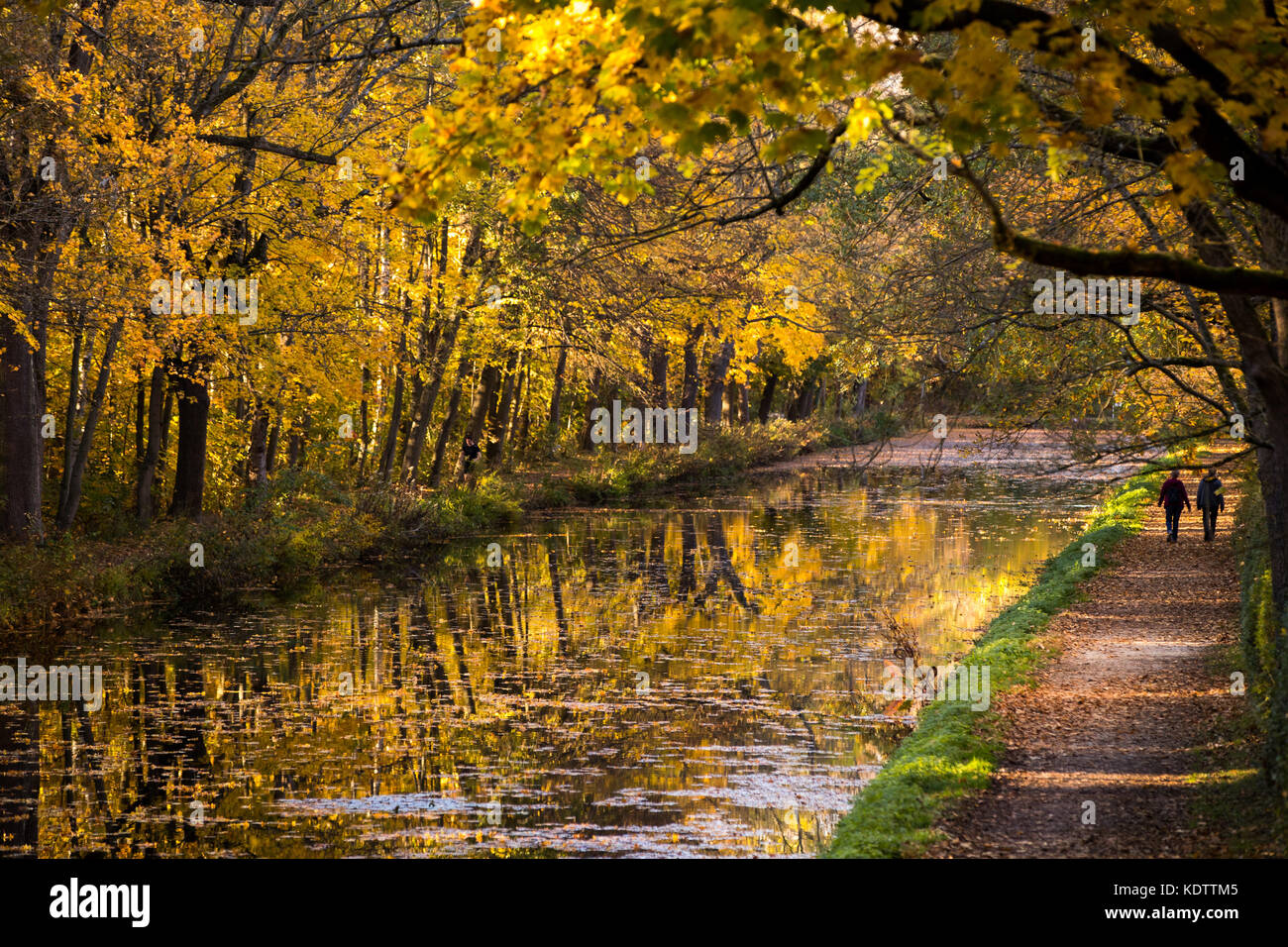 Nuremberg, Germany. 15th Oct, 2017. Walkers beside the Ludwig Canal ...