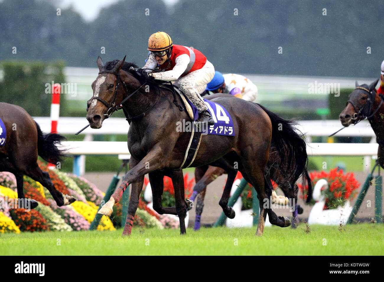 Kyoto, Japan. 15th Oct, 2017. Deirdre ( Christophe Lemaire) Horse ...