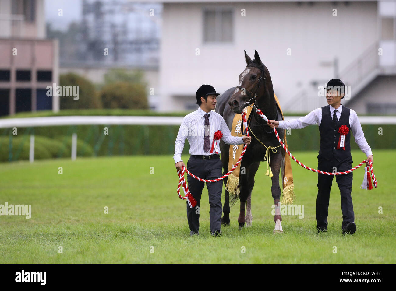 Kyoto, Japan. 15th Oct, 2017. Deirdre Horse Racing : A portrait of ...