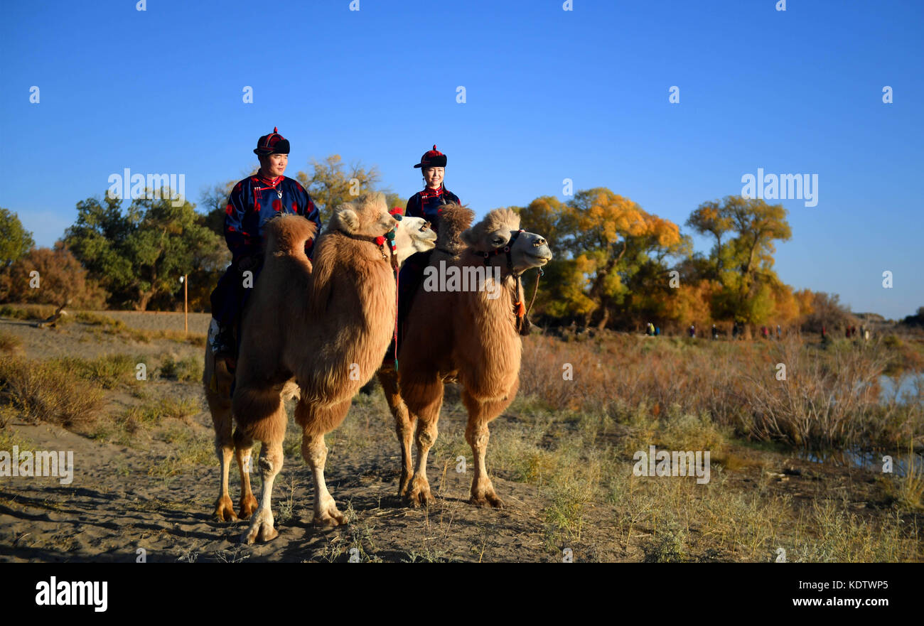 Ejin Qi, China's Inner Mongolia Autonomous Region. 13th Oct, 2017 ...
