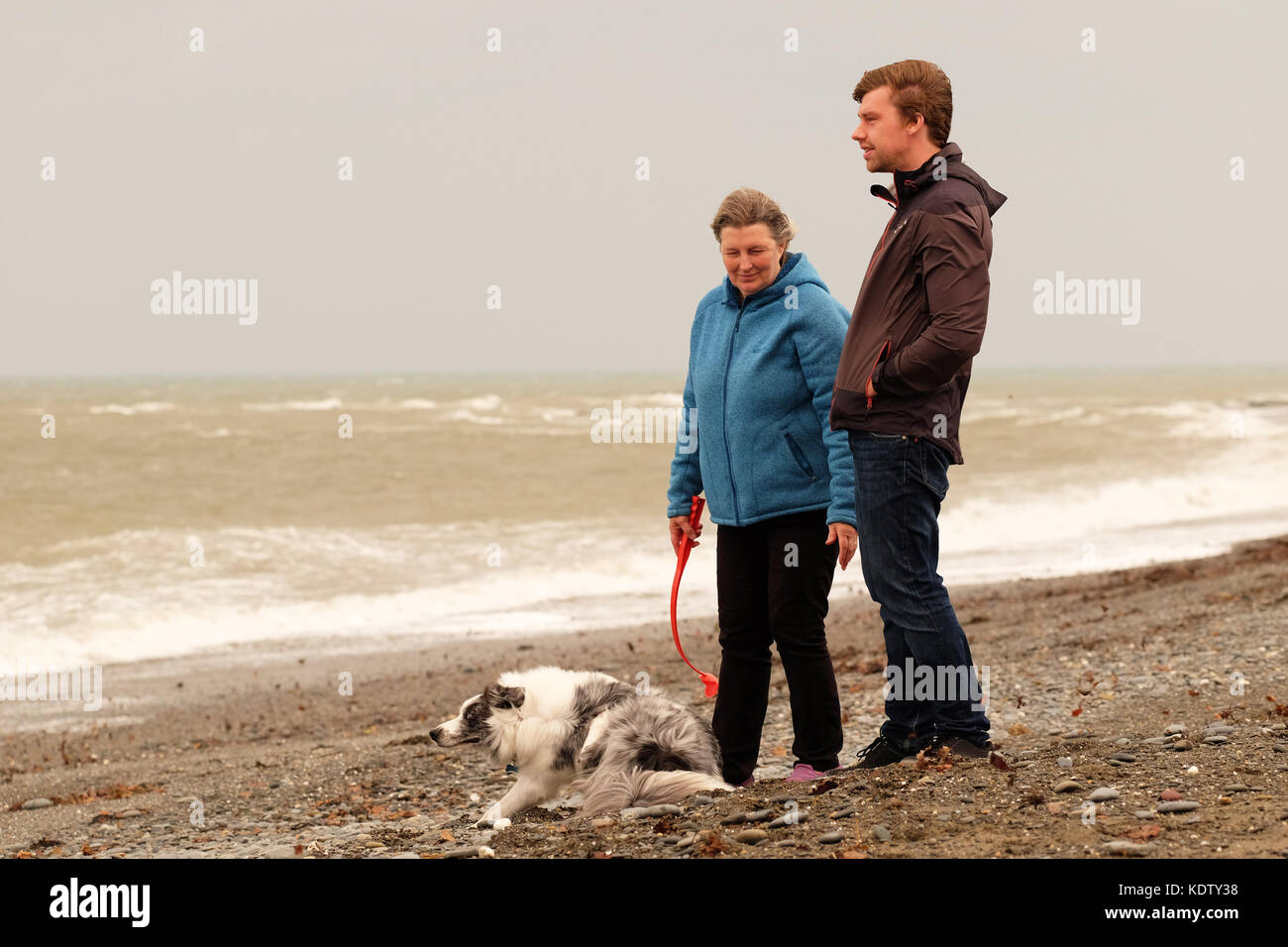 Dog beach strong winds hi-res stock photography and images - Alamy
