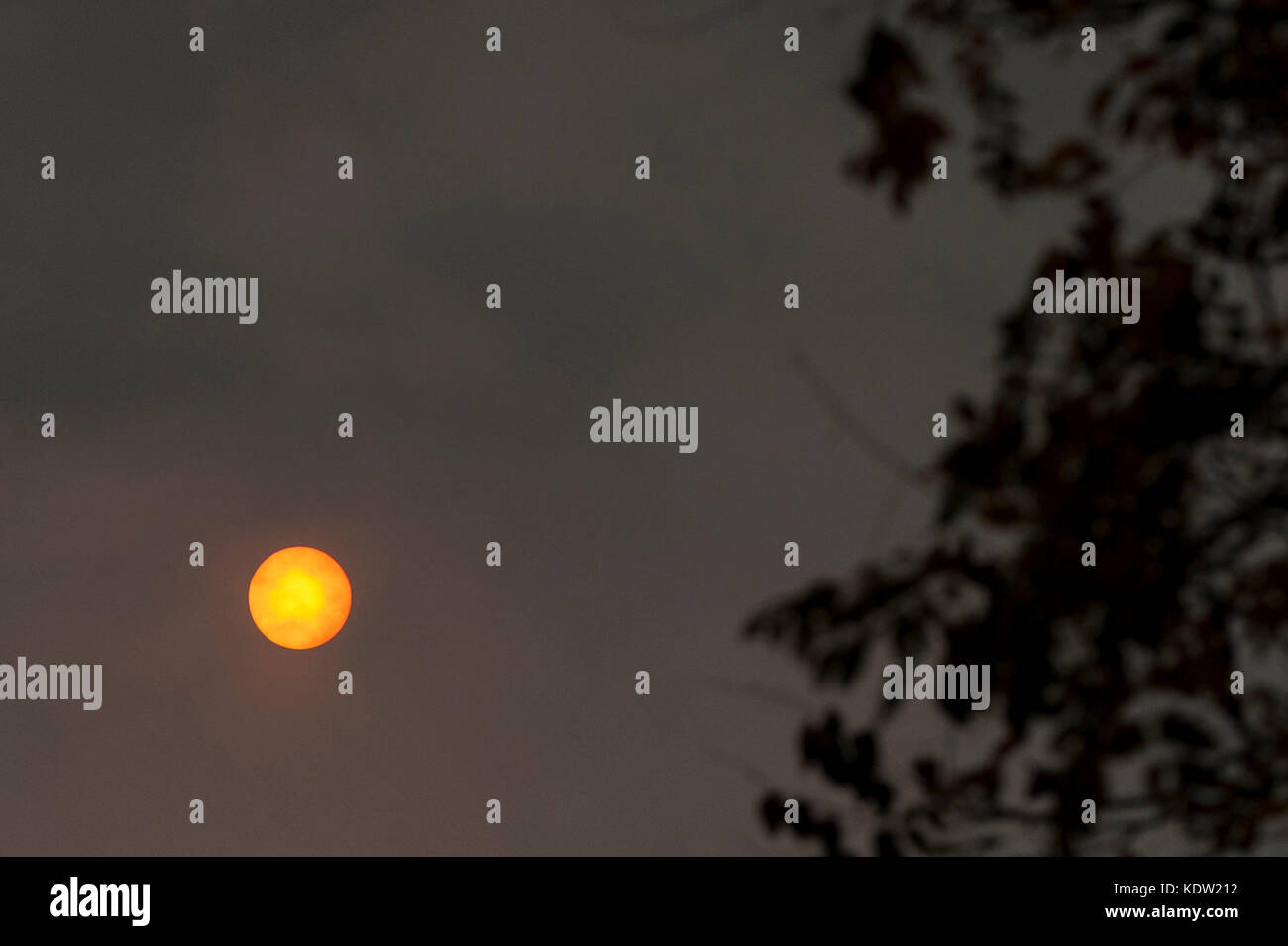 London, UK. 16th Oct, 2017. UK weather. The mid afternoon sun is seen ...