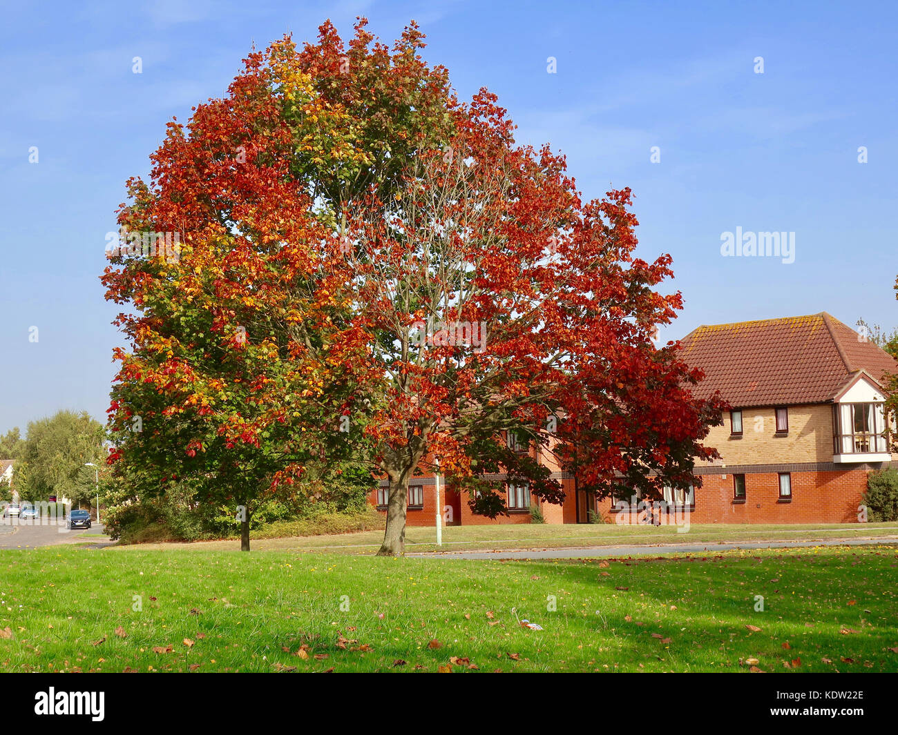 Martlesham Heath, Suffolk. 16th Oct, 2017. UK Weather: Multi-coloured ...
