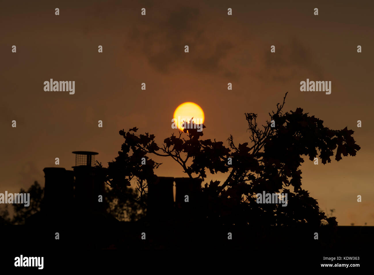Wimbledon, London, UK. 16 October, 2017. Setting sun glows through dust ...