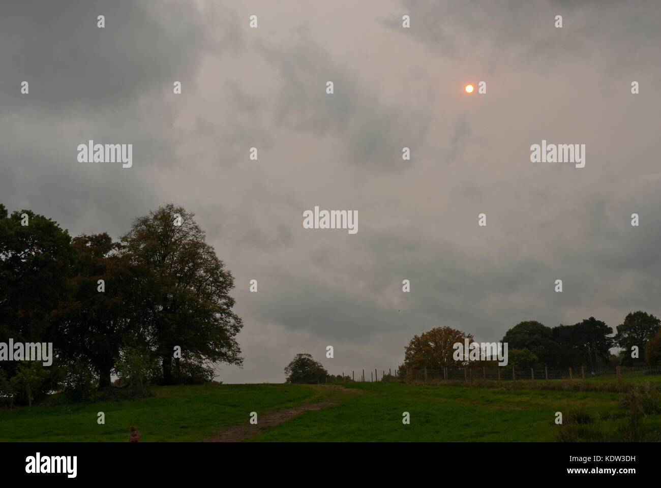 Pink on hampstead heath hi-res stock photography and images - Alamy