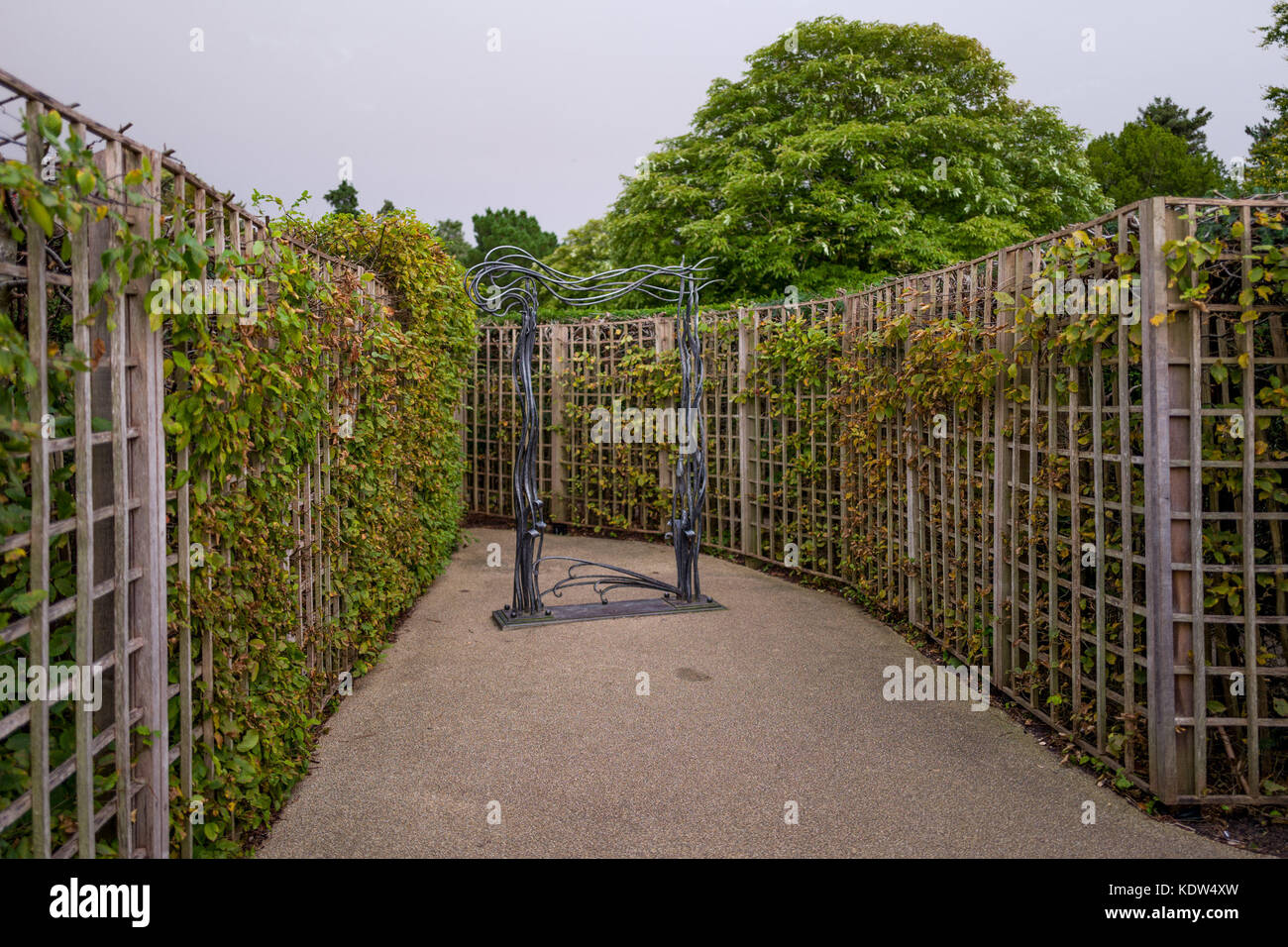 Hampton court palace maze hi-res stock photography and images - Alamy