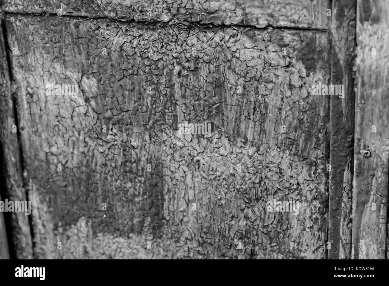 The texture of the metal doors Stock Photo - Alamy