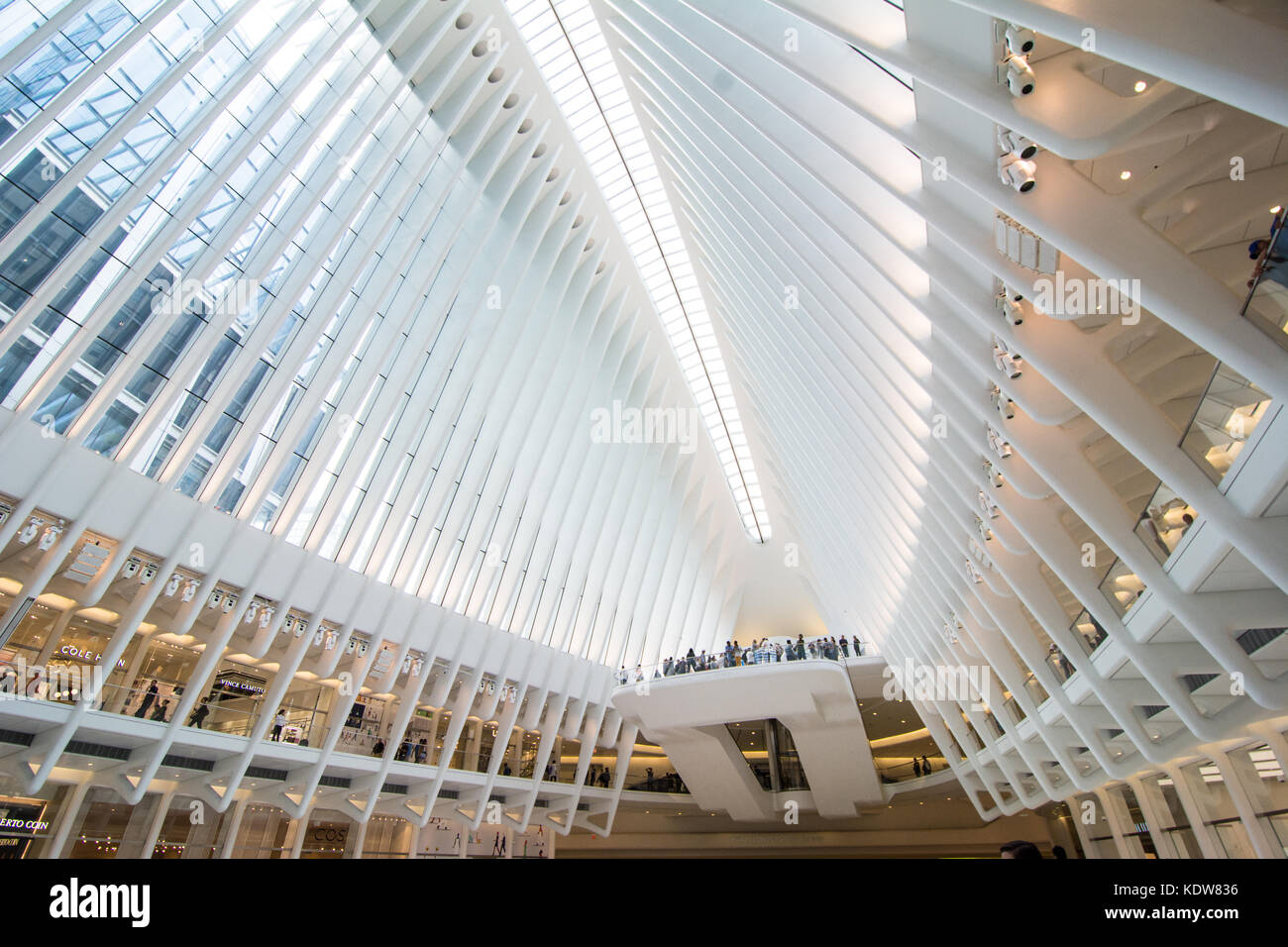 The impressive architecture of the Oculus at the World Trade Center ...