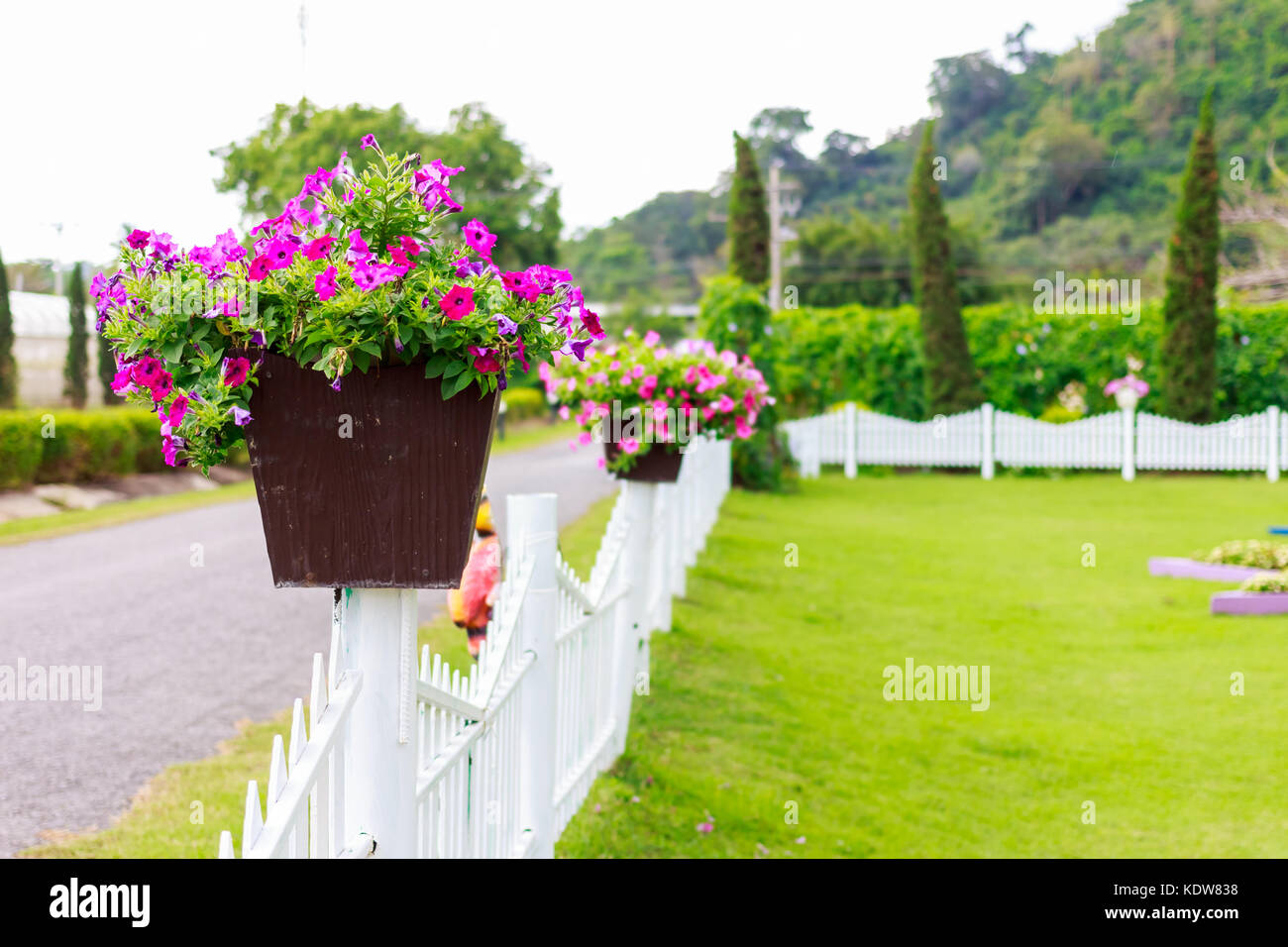 Flower pot on a park wall Stock Photo - Alamy