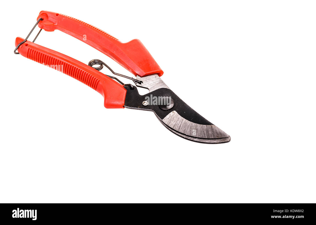 pruning shears isolated on white Stock Photo - Alamy