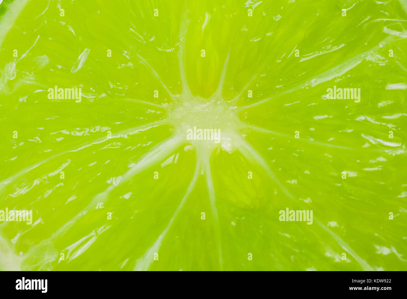 extreme closeup of lime : macro Stock Photo - Alamy