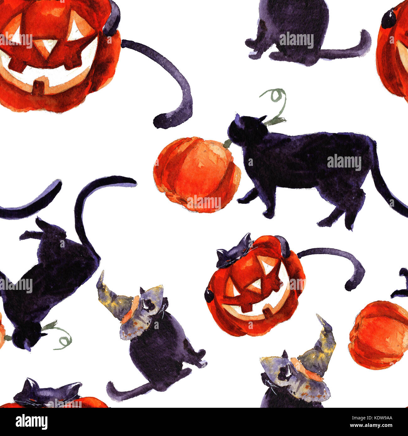 Set Of Cat Cartoon With Different Actions, Halloween Stock Photo - Alamy