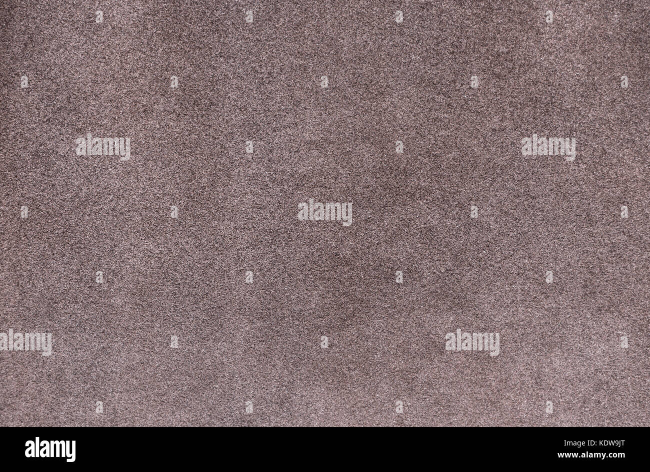 Plain gray color carpet texture. Pale smooth carpet. Velvet paper ...
