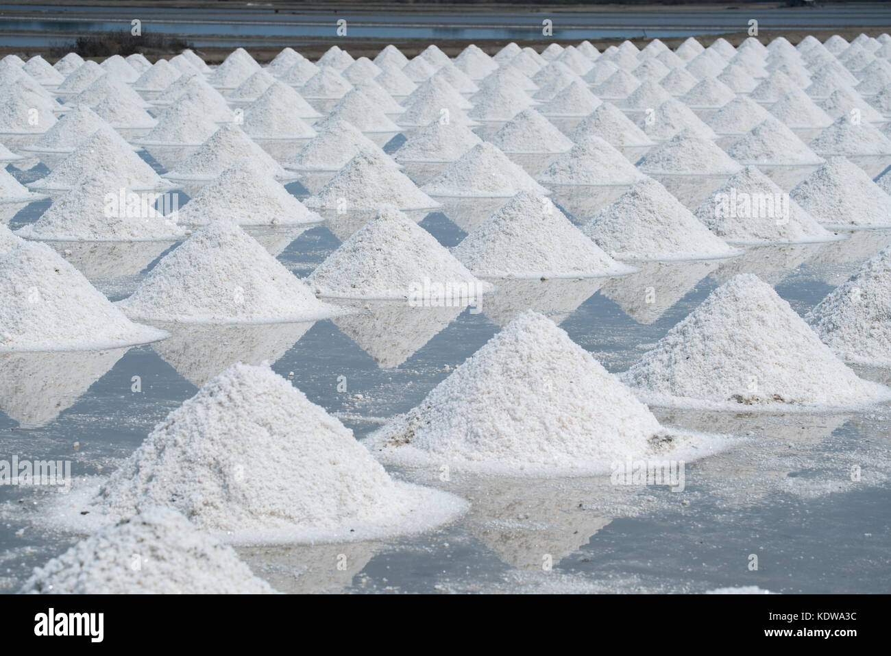 Heap of sea salt in original salt produce farm make from natural ocean ...