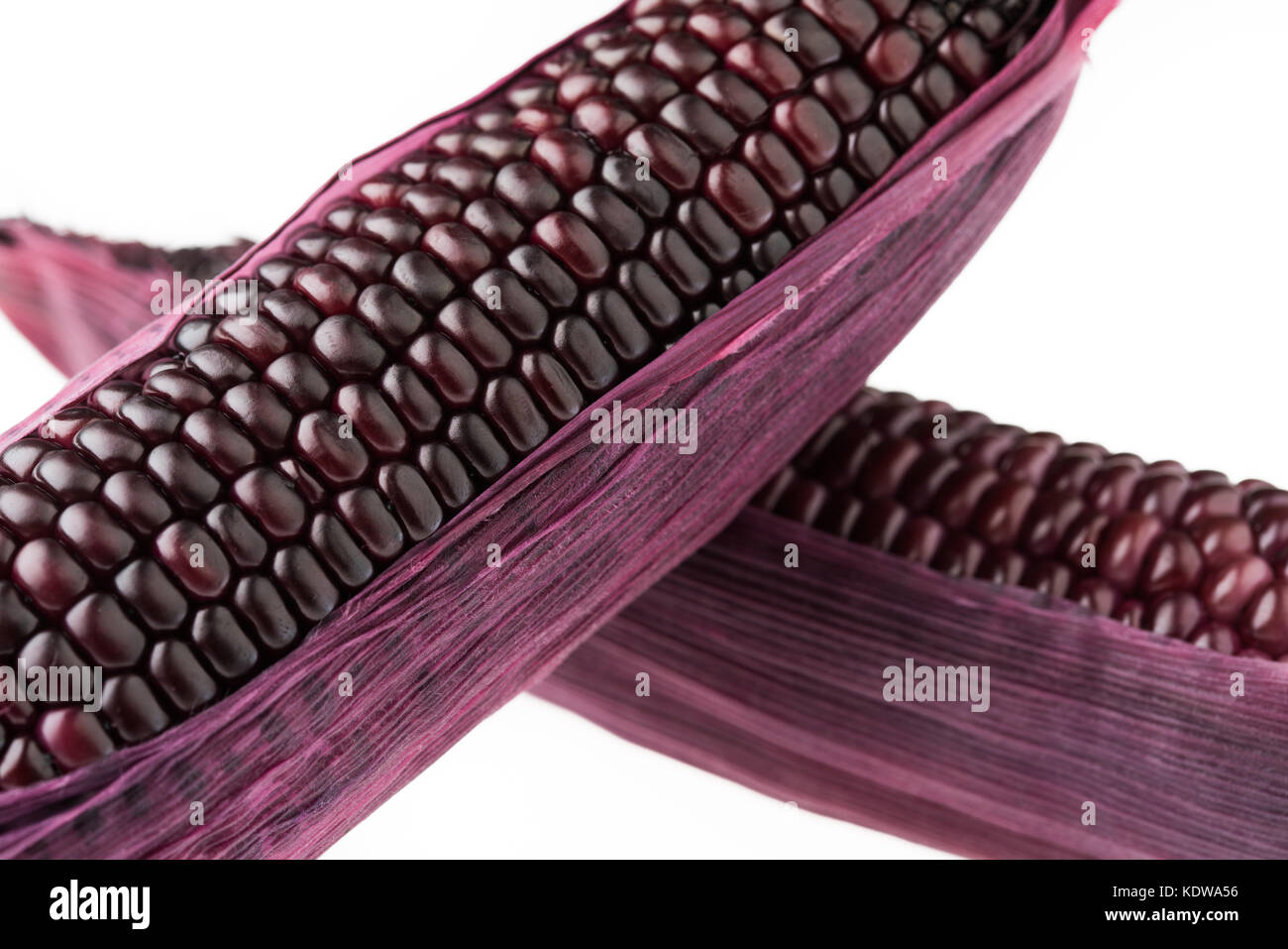 purple corn isolated on white background Stock Photo - Alamy