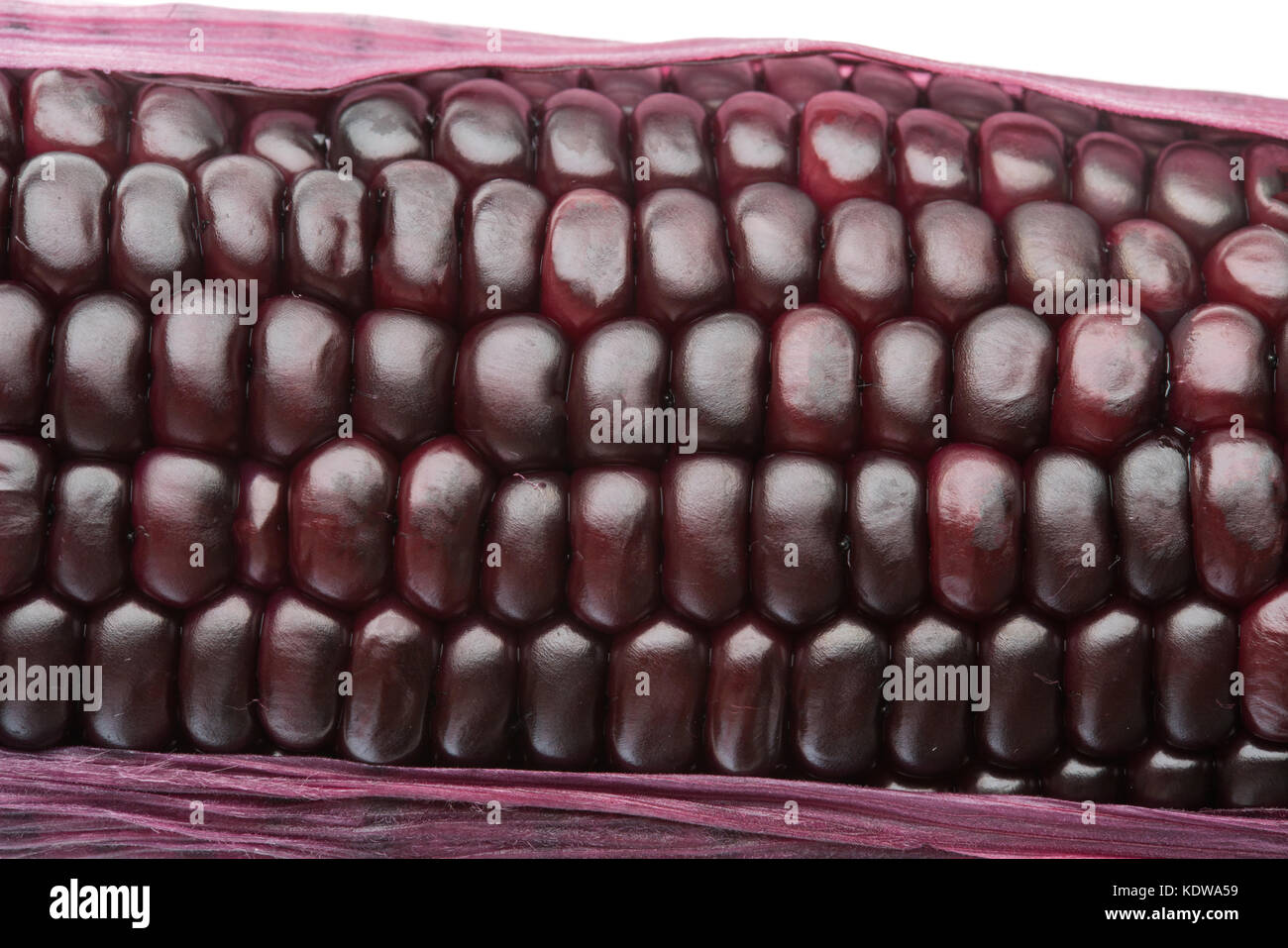 purple corn isolated on white background Stock Photo - Alamy