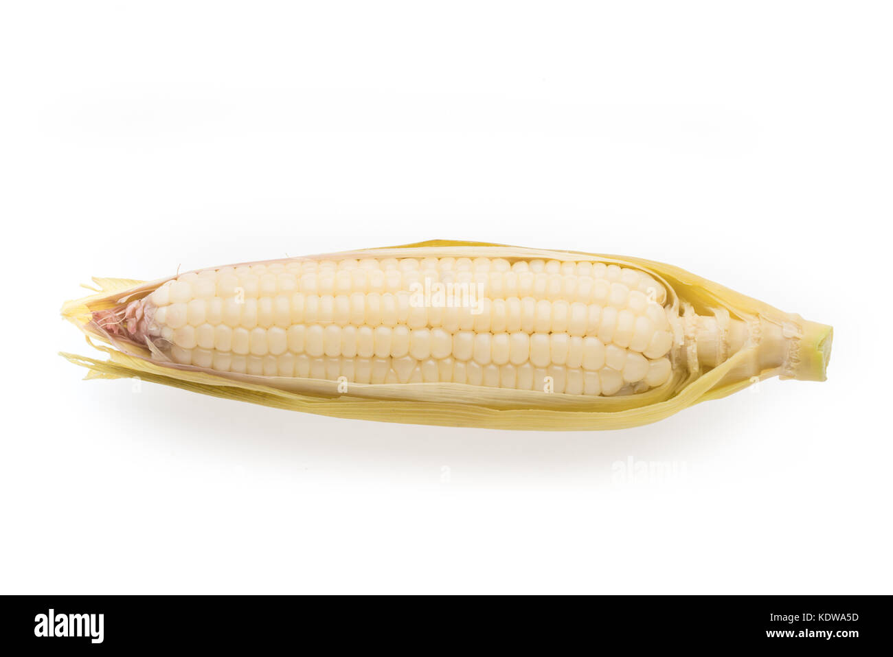 single white corn isolated on white background Stock Photo - Alamy
