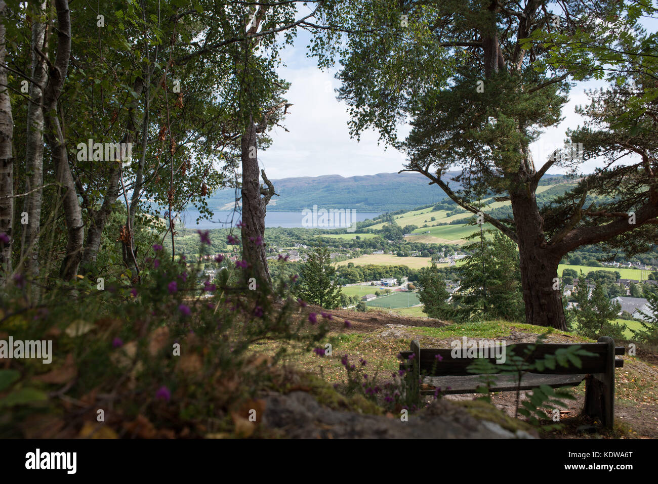 Viewpoint looking across Loch Ness from Balmacaan Woods near ...