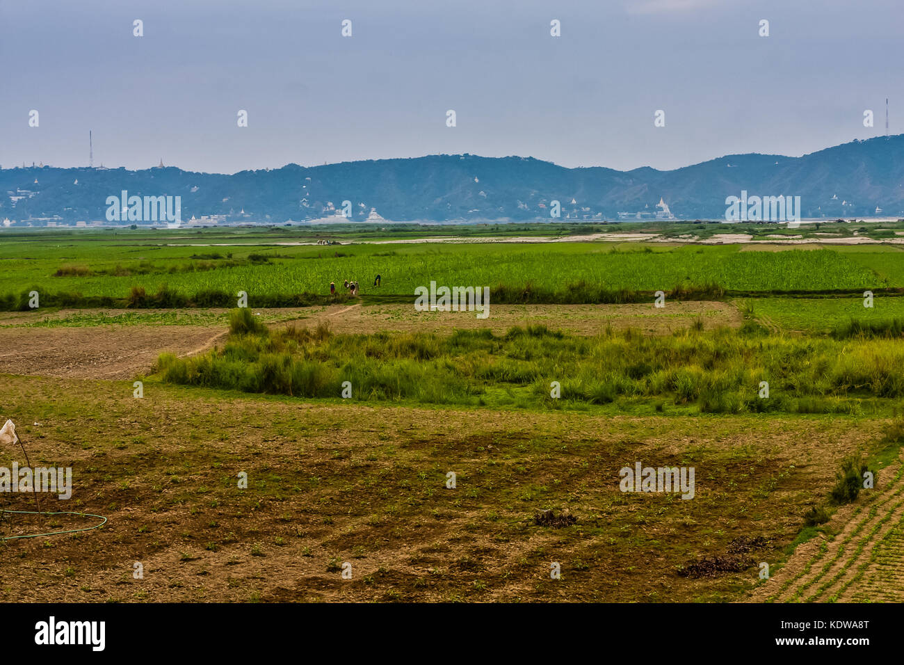 Agricultural fields in the Mandalay Region, Myanmar Stock Photo - Alamy