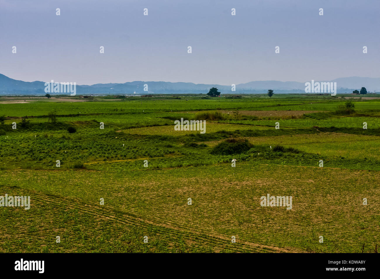 Myanmar agriculture hi-res stock photography and images - Alamy