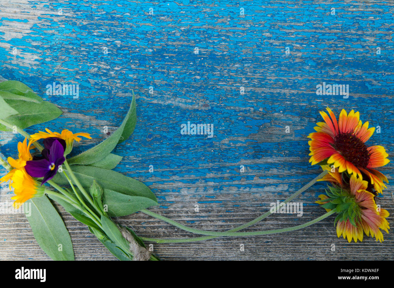 Flowers perimeter on a wooden painted board with cracks, texture ...