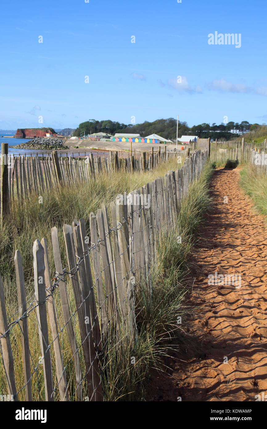sand dunes at dawlish warren on the south devon coast Stock Photo - Alamy