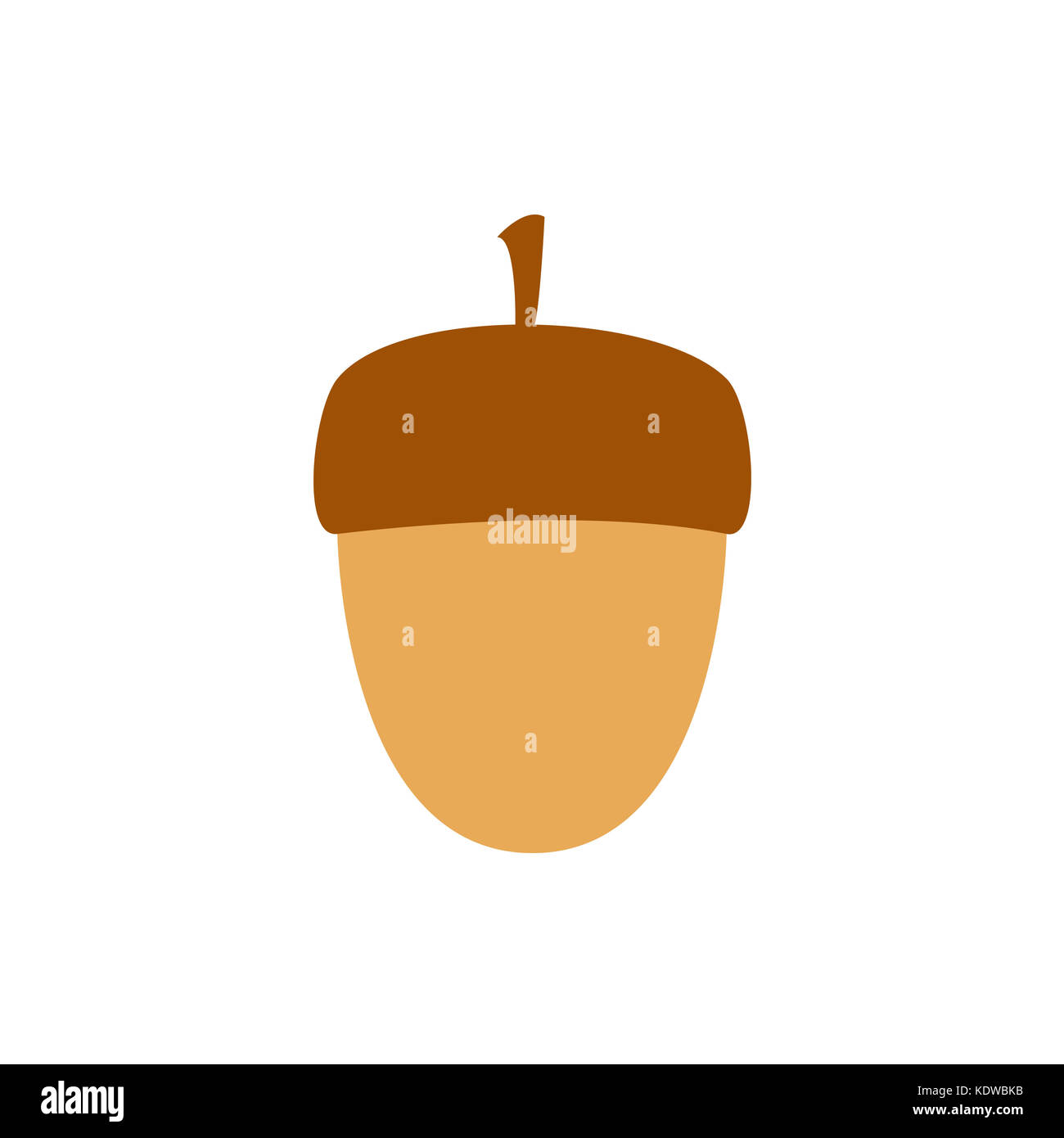 Simple Flat Acorn Stock Photo - Alamy