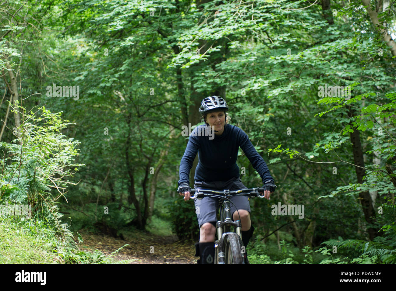 Mountain bikers in St Ronan's Wood, Innerleithen, Scotland. Summer ...