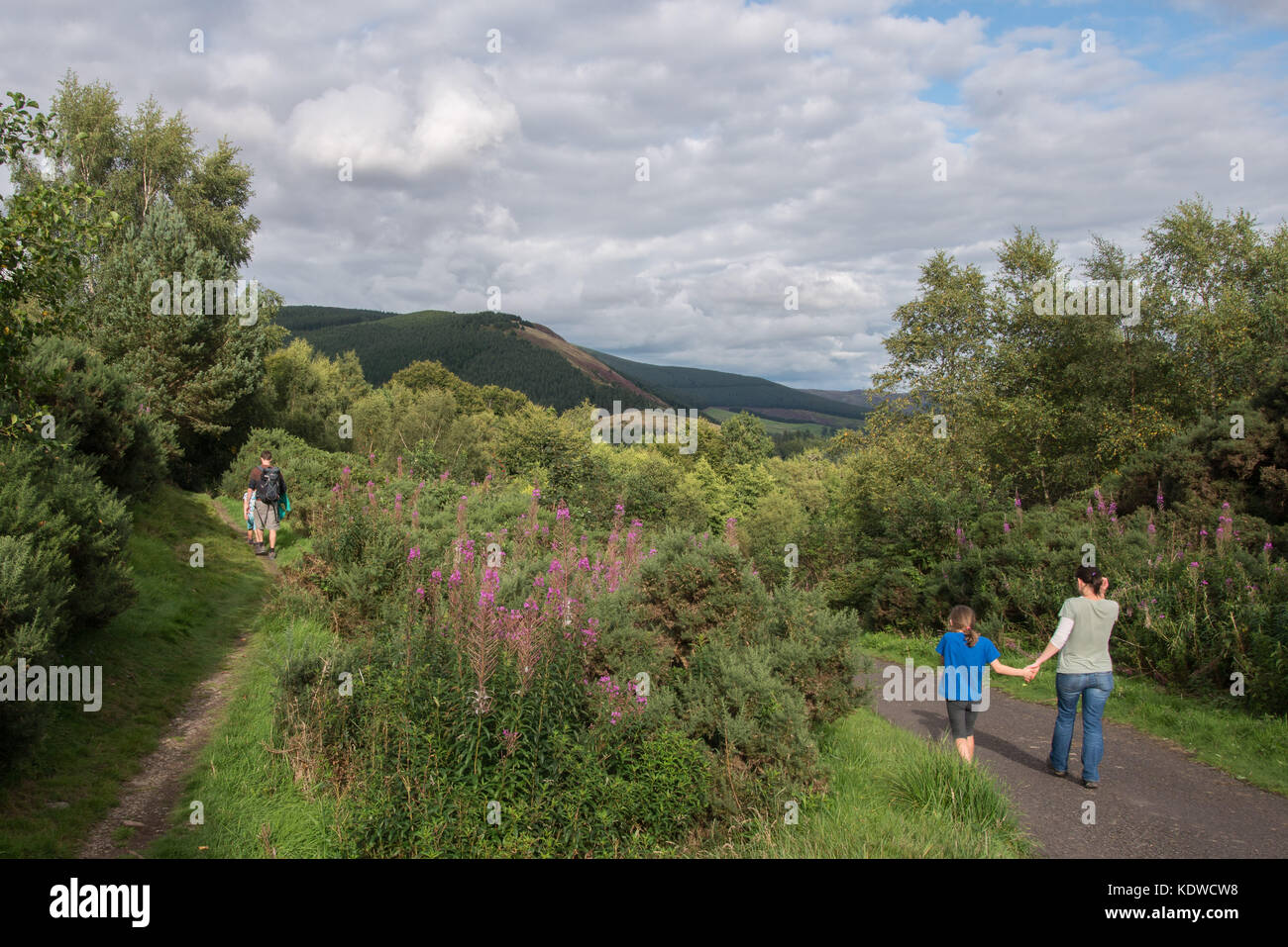 Innerleithen hi-res stock photography and images - Alamy
