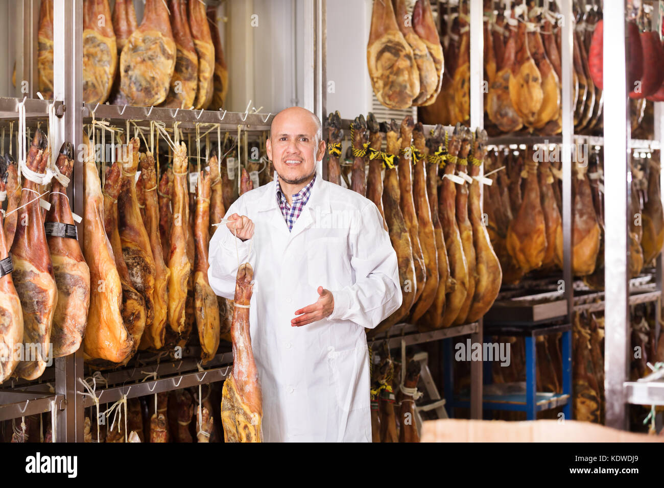 Mature experienced butcher posing with jamon joints at a meat factory ...