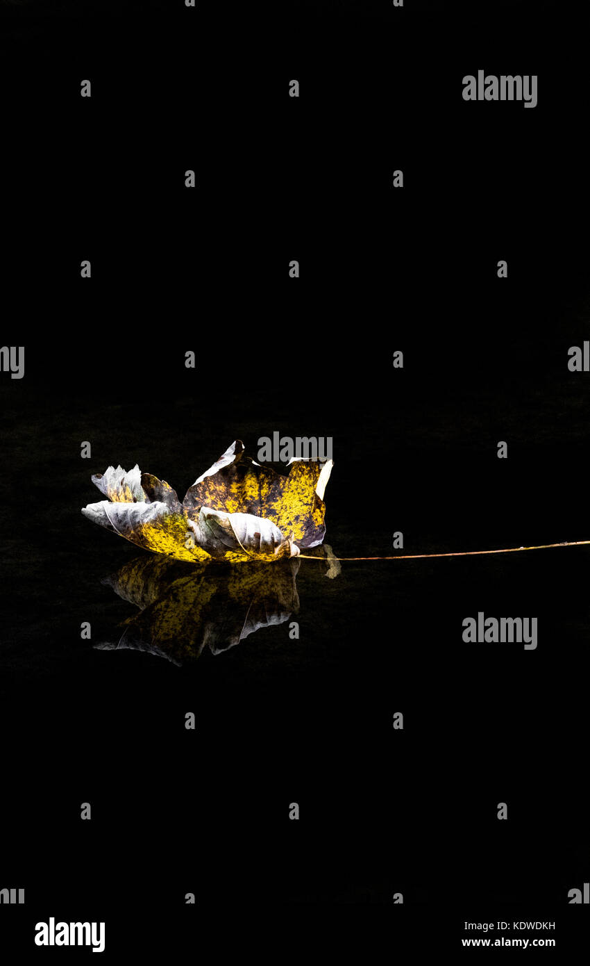 Floating down the stream hi-res stock photography and images - Alamy