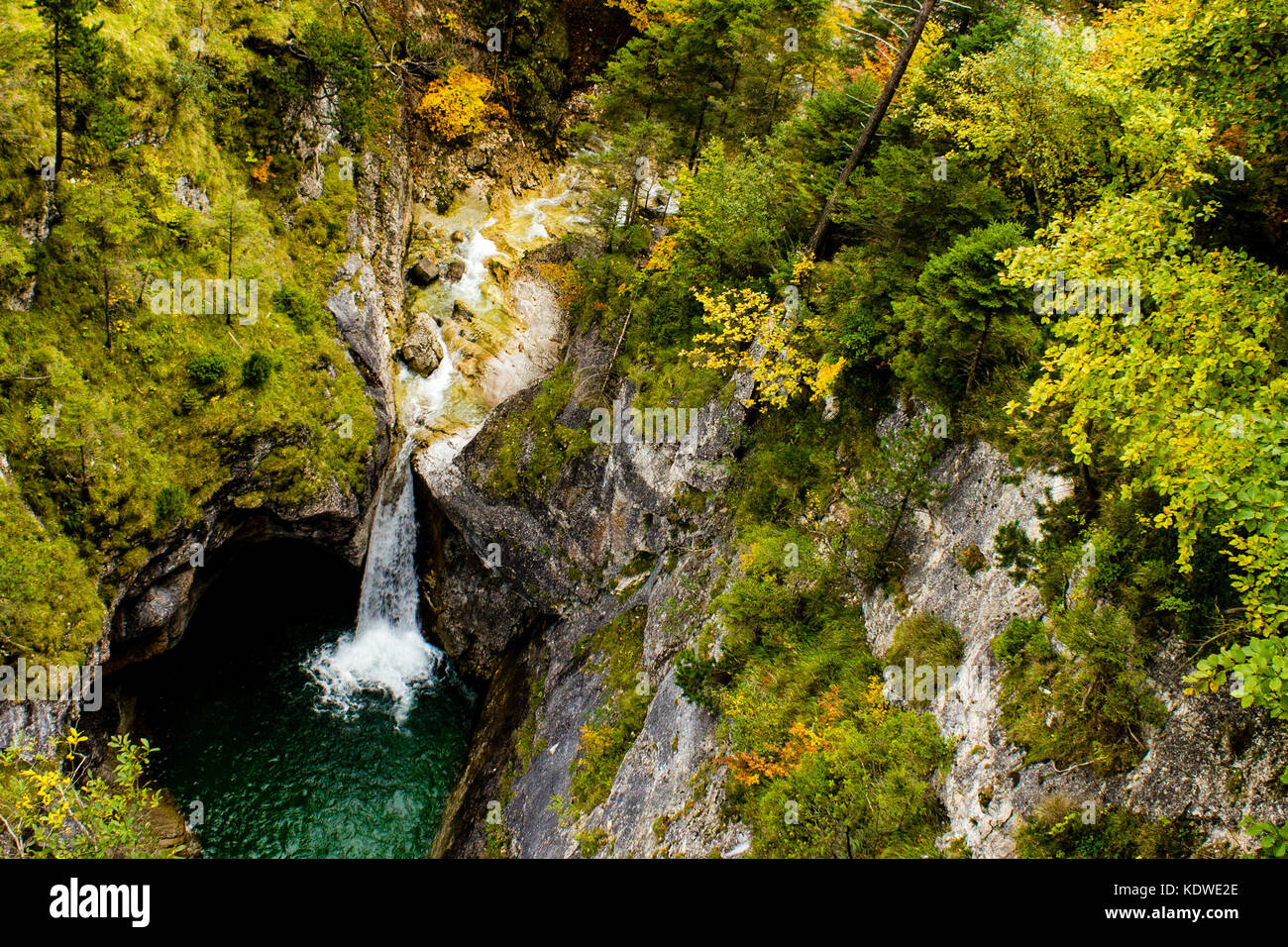 The woods near Neuschwanstein Castle, in Bavaria, Germany Stock Photo ...