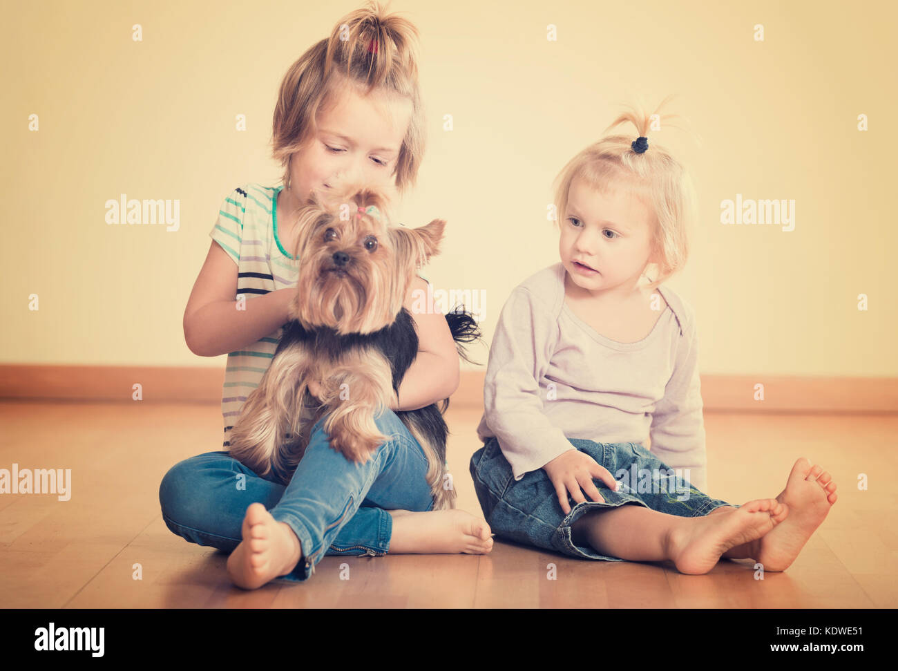 Two children playing with charming Yorkie at home Stock Photo - Alamy