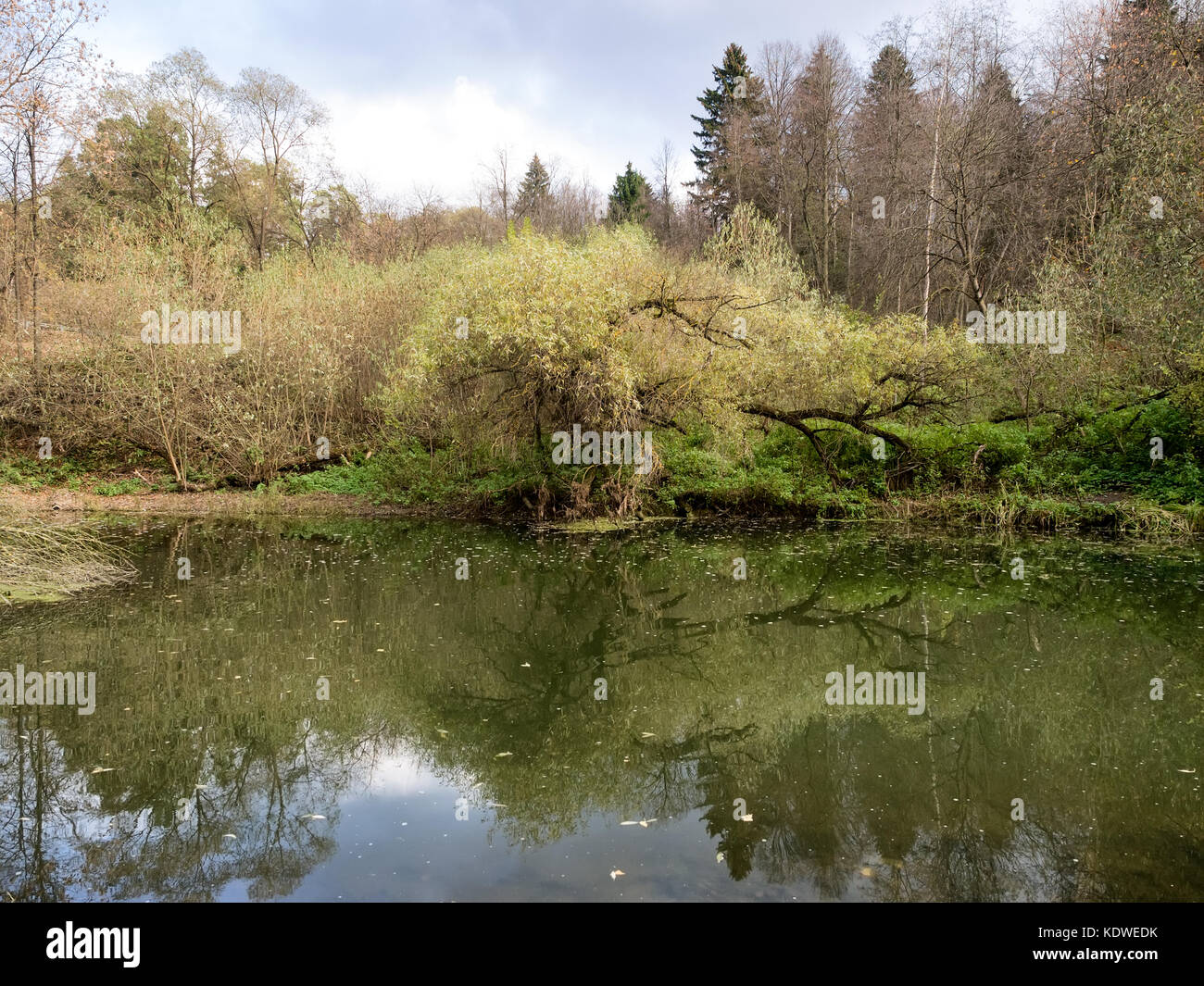 October in Russia: autumn river and forest Stock Photo - Alamy