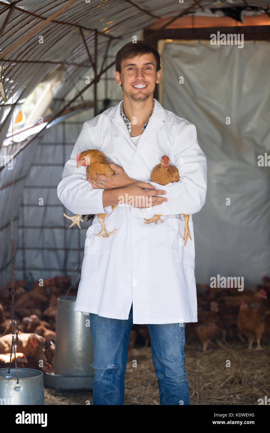 Smiling man veterinarian in white coat holding brown chickens in hands ...