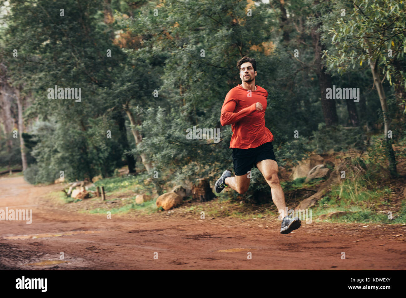 Man running on mud track. Athlete running fast in a park with dense ...