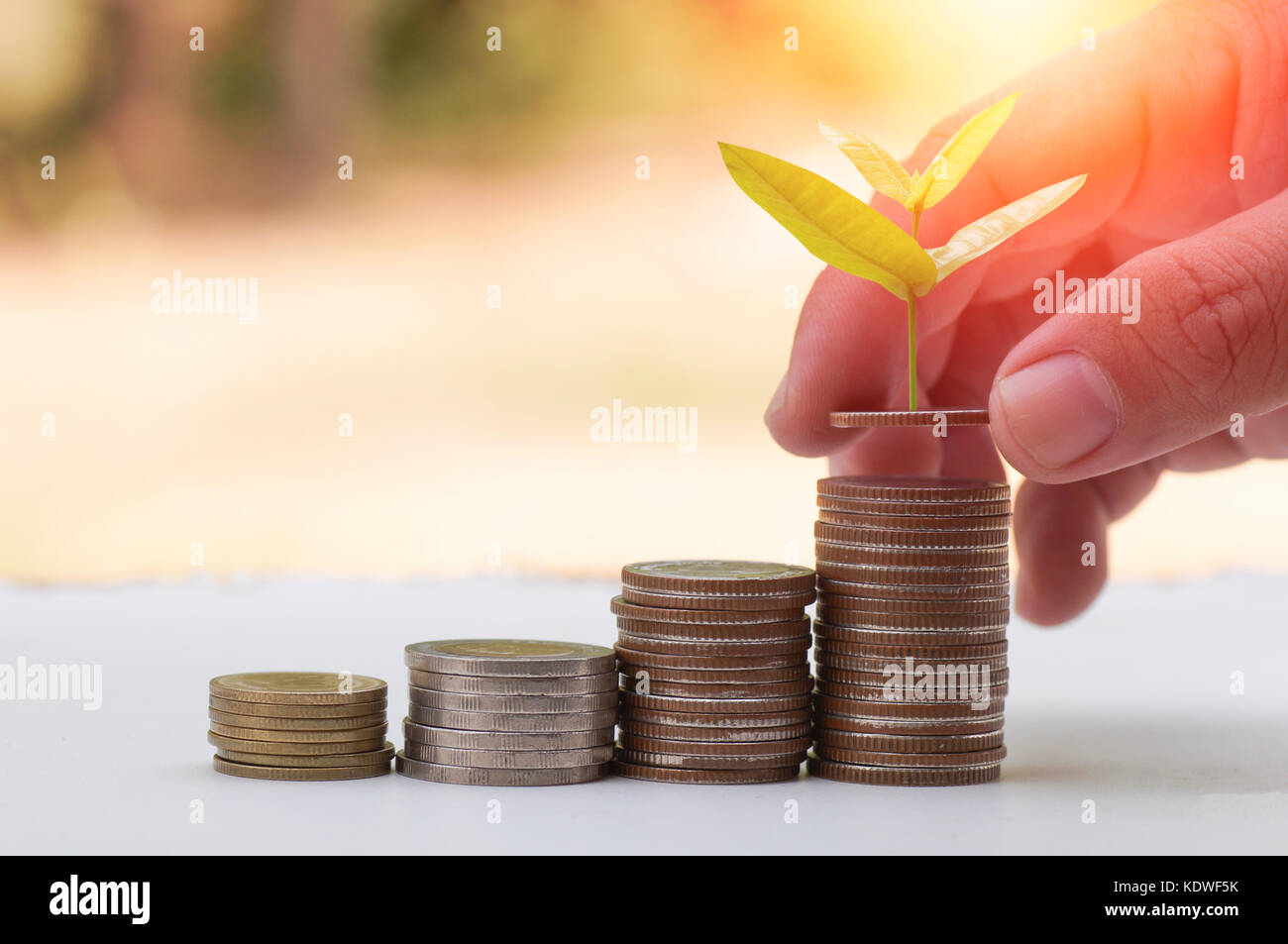 Hand planting new tree growing up and stacked of money coins, concept ...