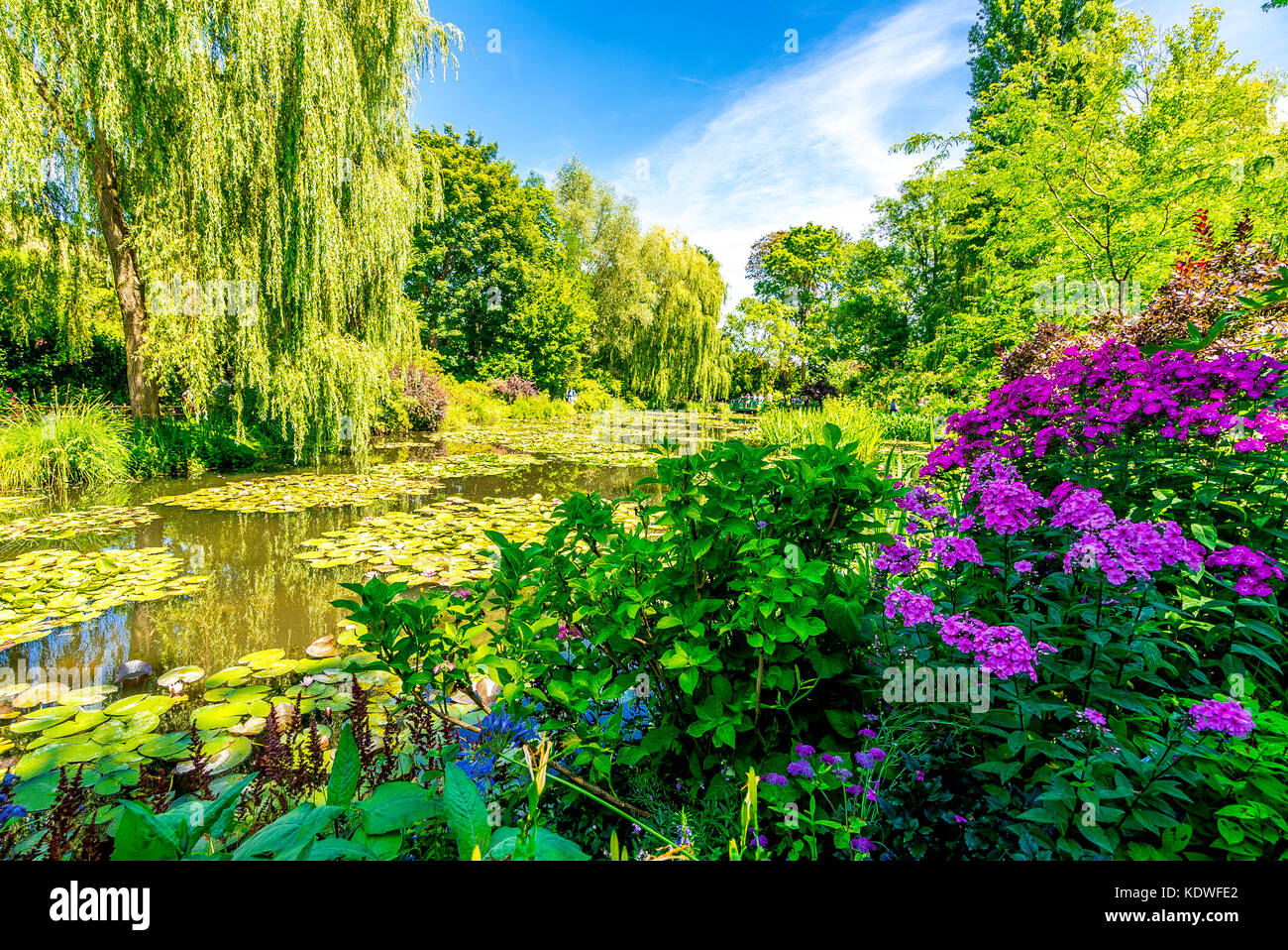 Monet's famous Lily Pond Stock Photo - Alamy
