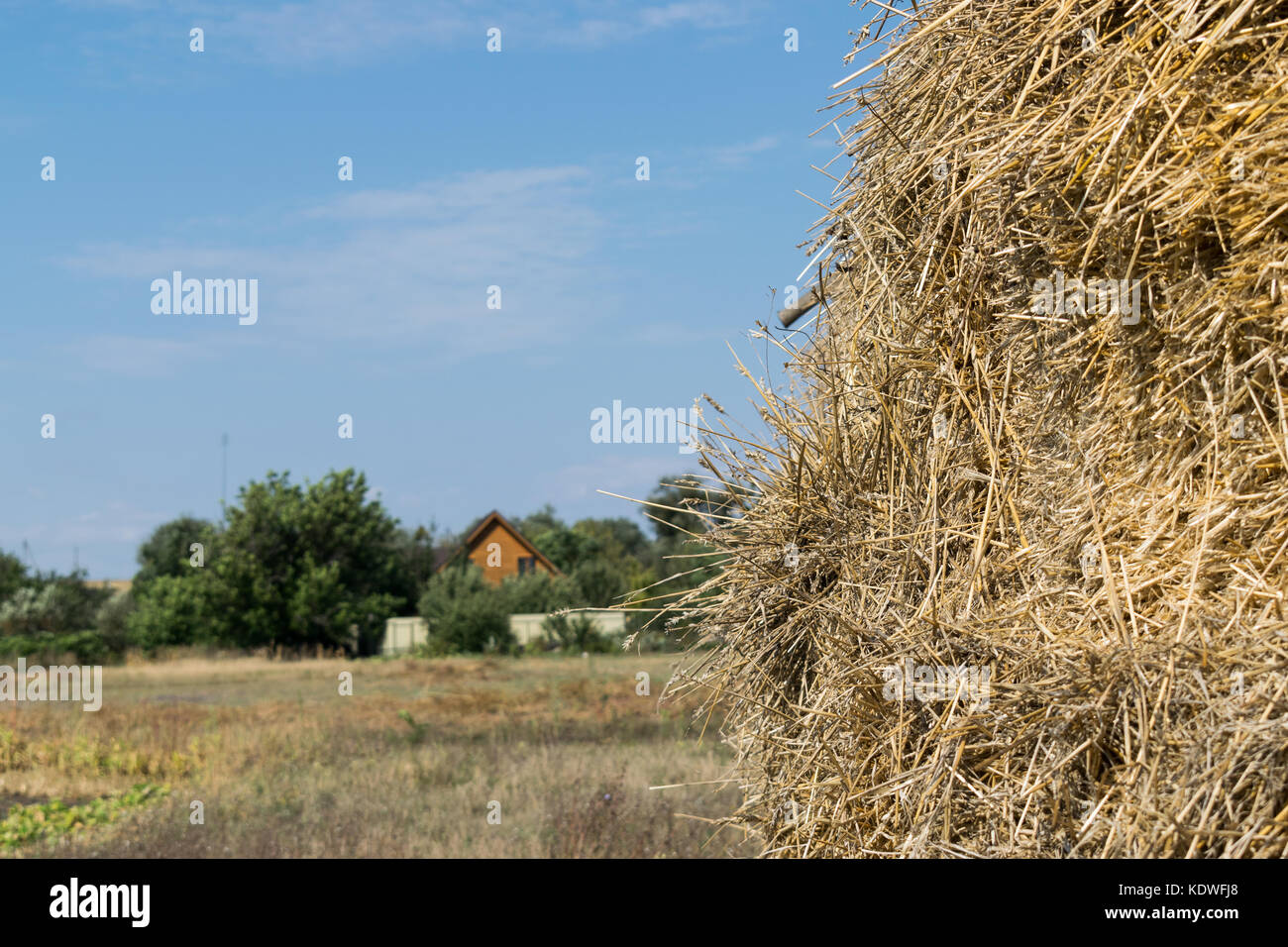 Pile of straw in the village Stock Photo - Alamy