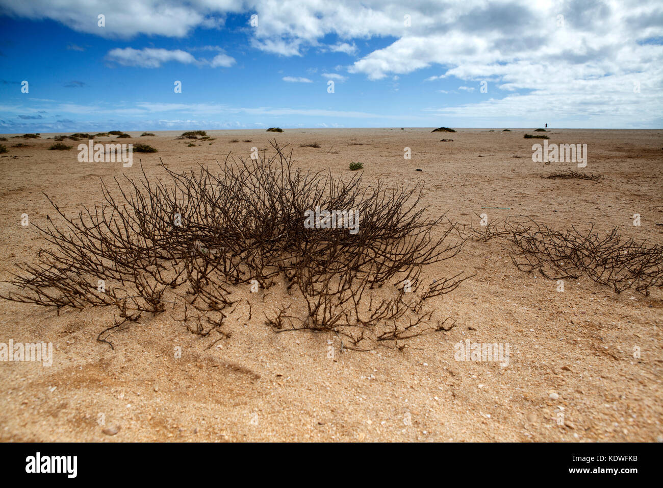 View of the desert landscape on the island of Cape Verde in Summer ...