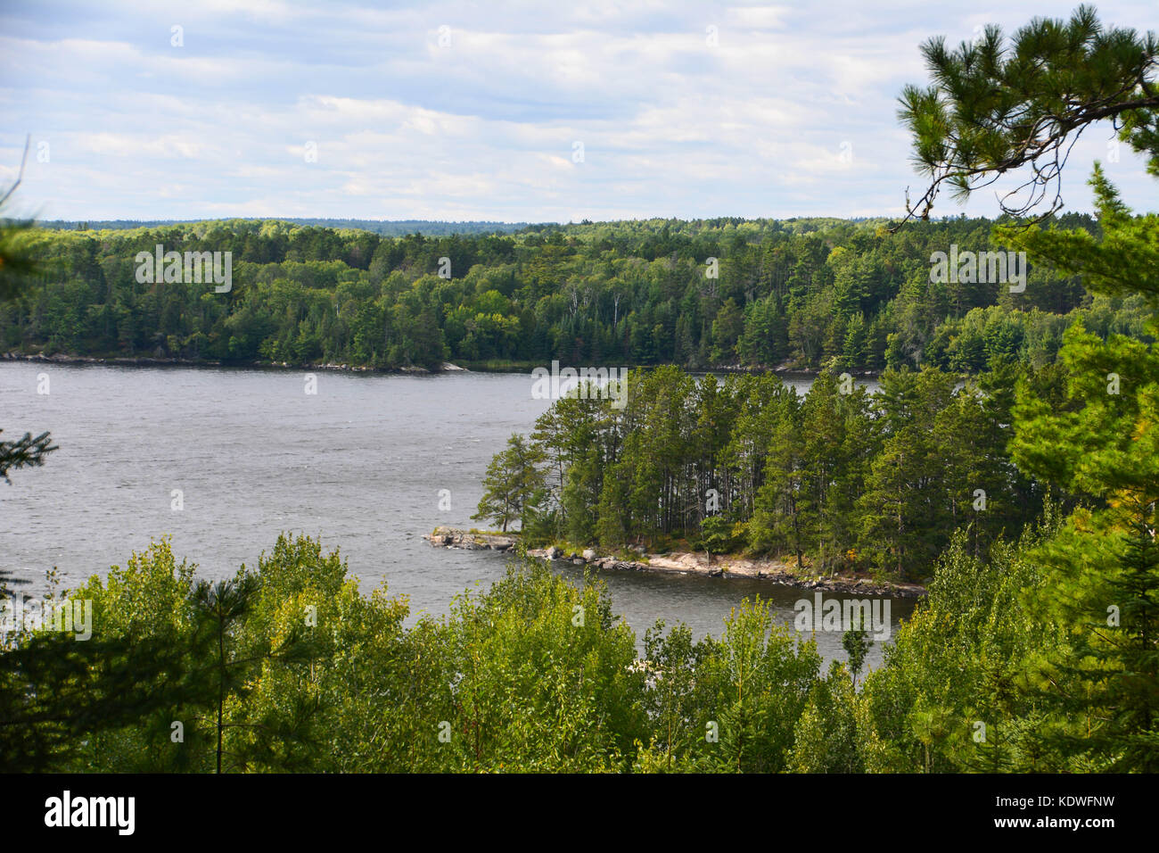 Mississippi River Side forest Stock Photo - Alamy